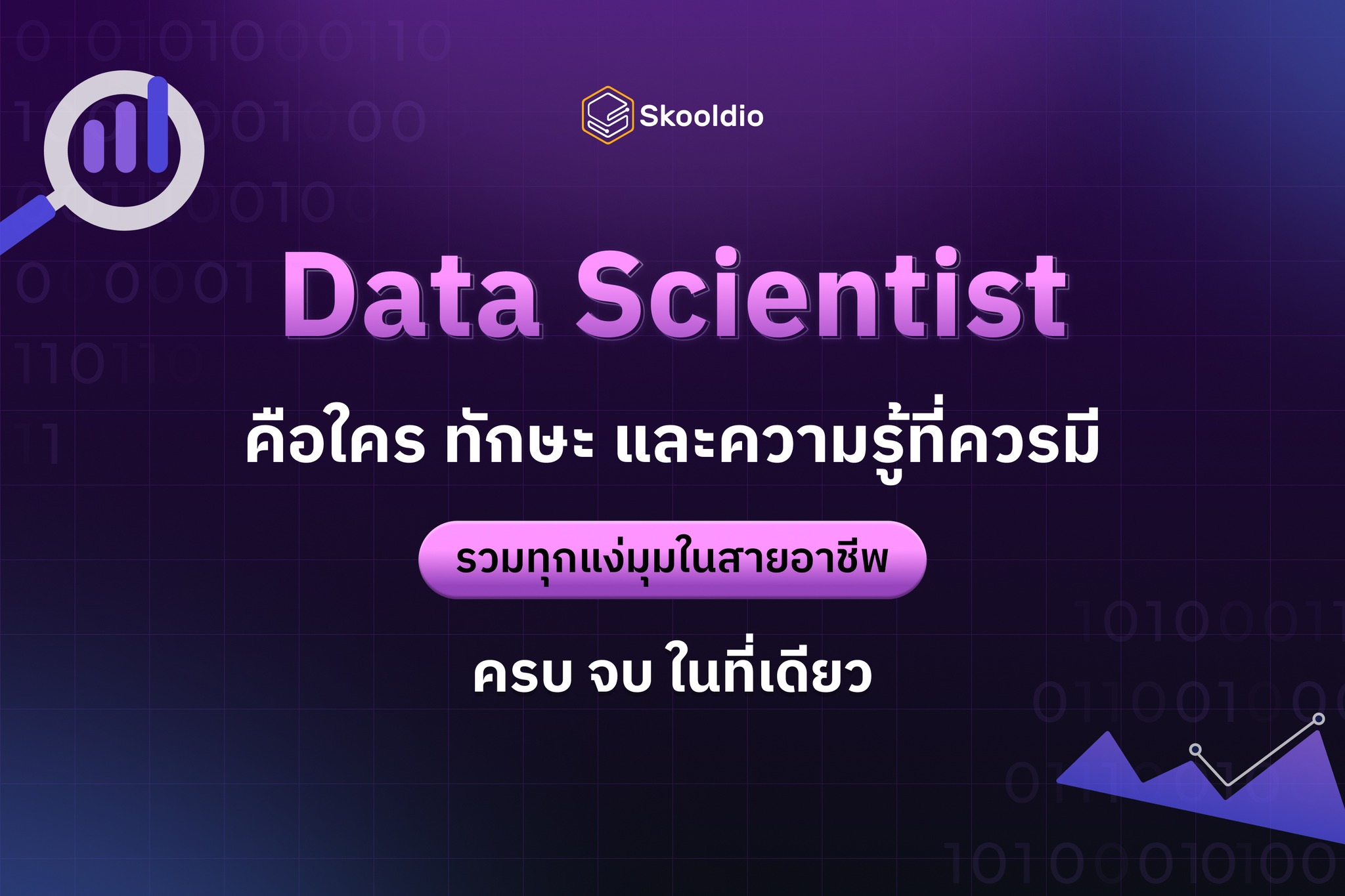 Data Scientist คือใคร รวมทุกแง่มุมของสายอาชีพ และทักษะที่สำคัญ